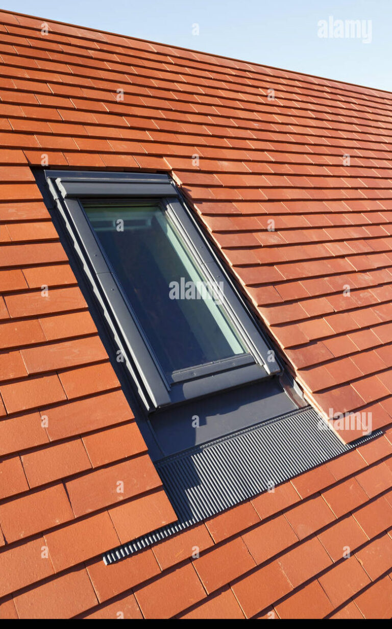 Los Velux: elementos comunes para mejorar la iluminación en casa ...